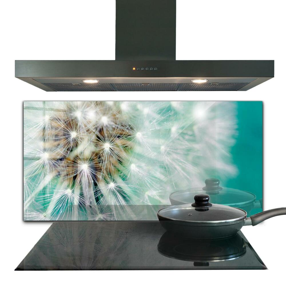 Kitchen splashback Dandelion in the wind plant