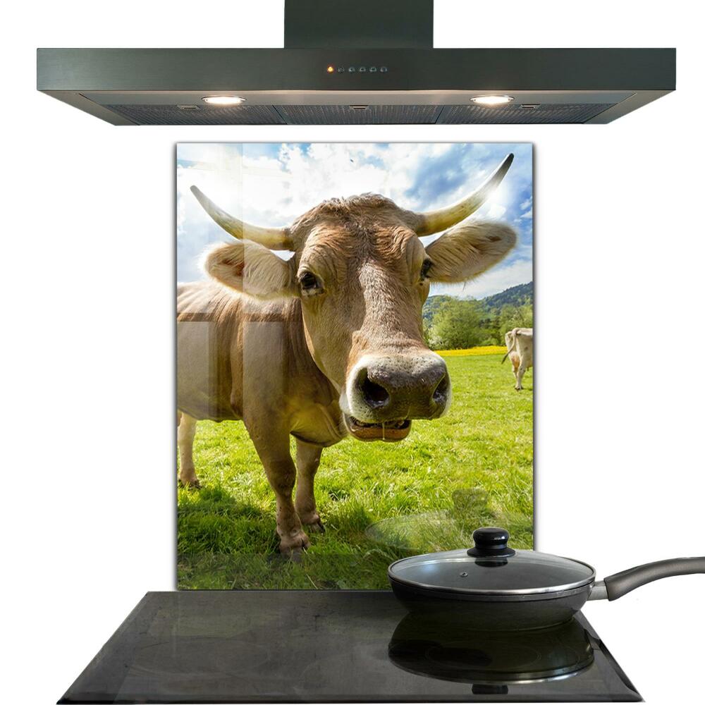 Kitchen splashback Rural climate krowa pole